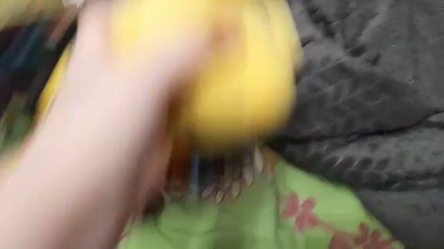 Игорь путешествие №6 заграничный паспорт