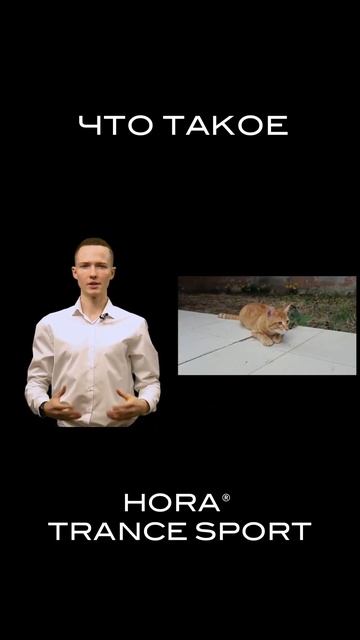 ХОРА® Лекториум