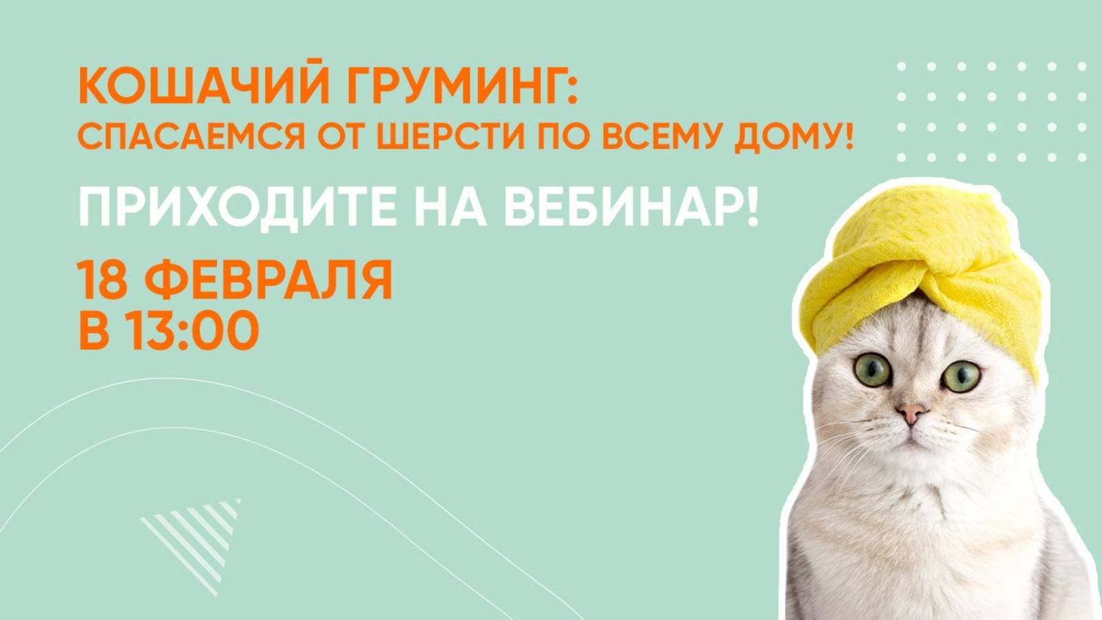 Кошачий груминг_ спасаемся от шерсти по всему дому. Вебинар Школы «Хвост Ньюс»