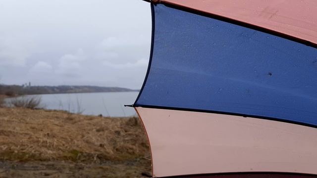 28-03-2025 28 марта.... сегодня пасмурное утро и моя утренняя прогулка прошла под дождем....