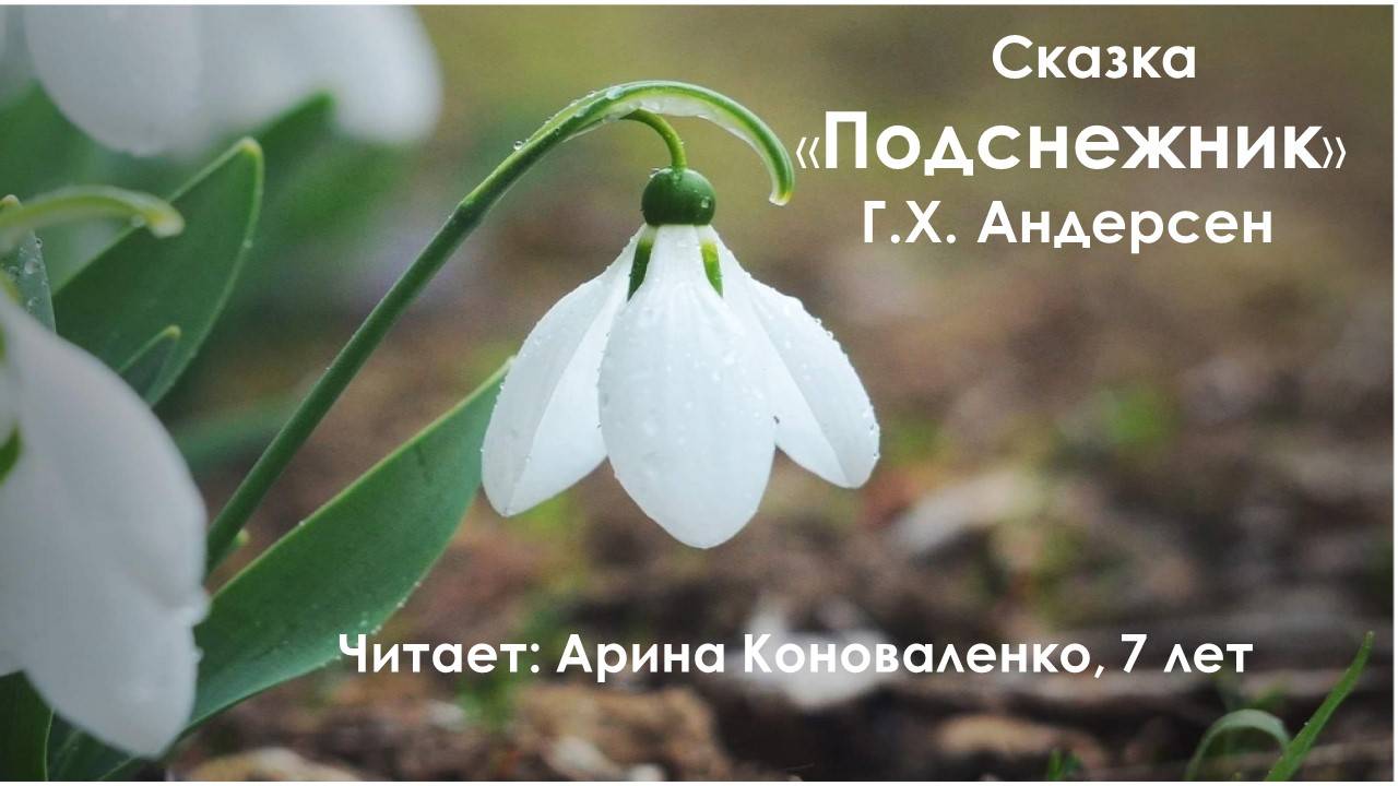 Г. Х. Андерсен. Сказка "Подснежник" (отрывок). Читает: Арина Коноваленко, 7 лет