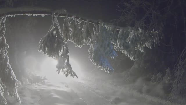 ПВД Басеги 2020