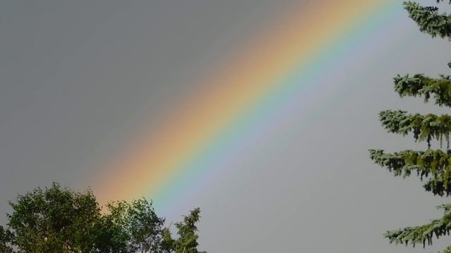 4842706-hd_1920_1080_30fps