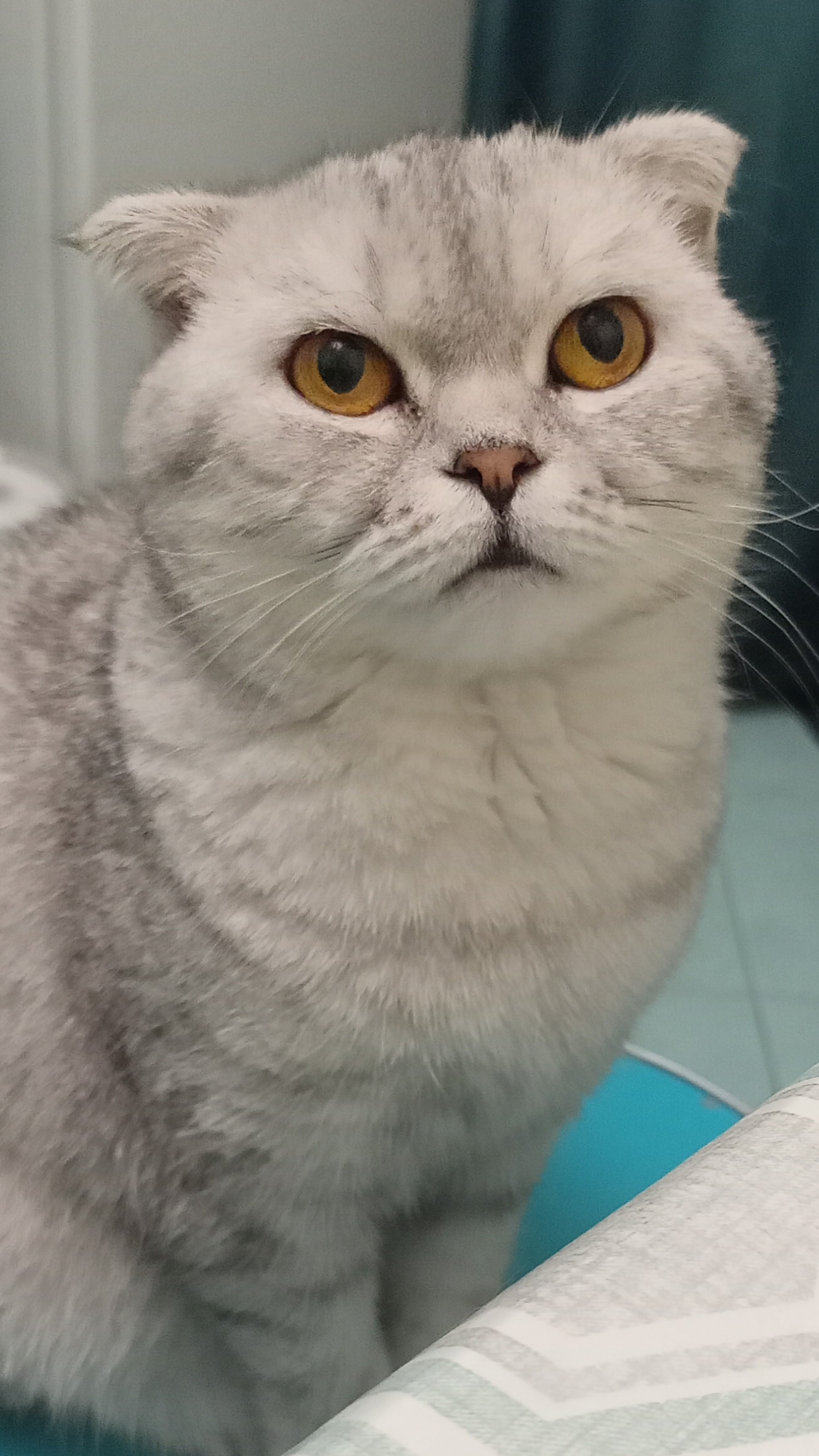 Твое счастье в твоих руках! 😉