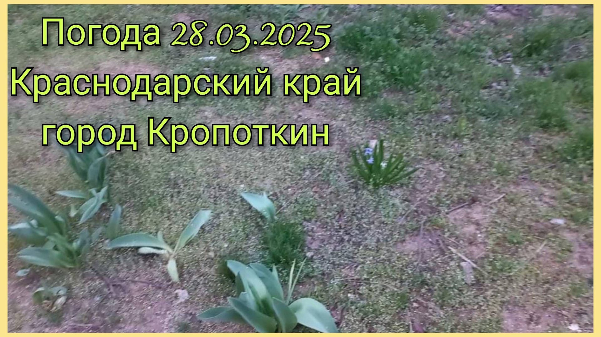 Погода 28 марта 2025 Краснодарский край город Кропоткин