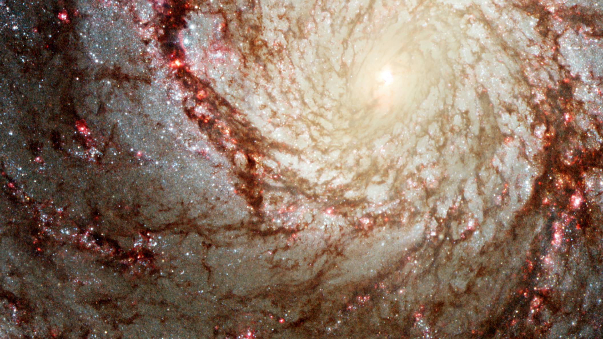 Взрывы на Солнце перевернут ваше представление о космосе: темная сторона других миров