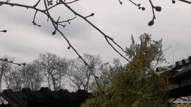 Минута расслабляющей музыки #музыка