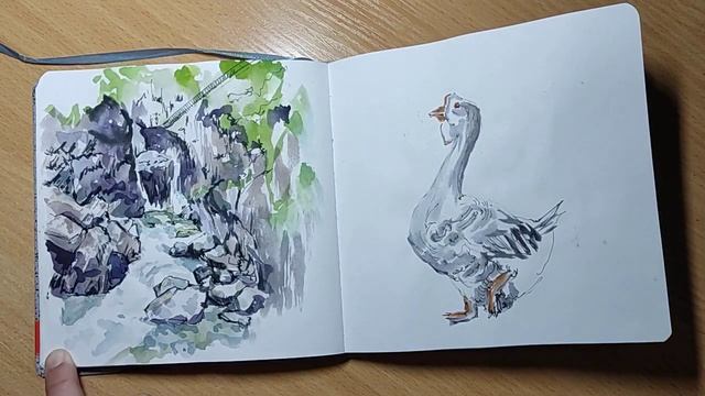 Скетчбук с разными зарисовками. 21.02.2024 —11.05.20024