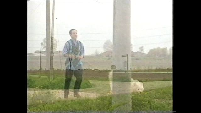 Дрессировка и уход за ездовыми собаками