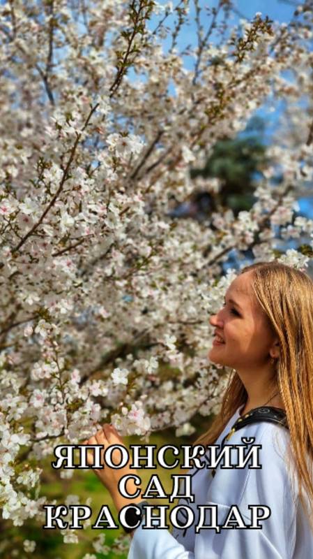 Японский сад Краснодар парк Галицкого март 2025
