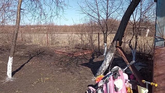 Купила дом в деревне. Убрались в саду, первые посадки