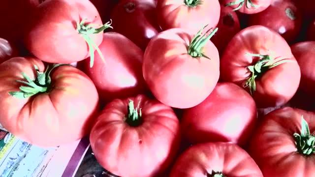 Помидор и перец