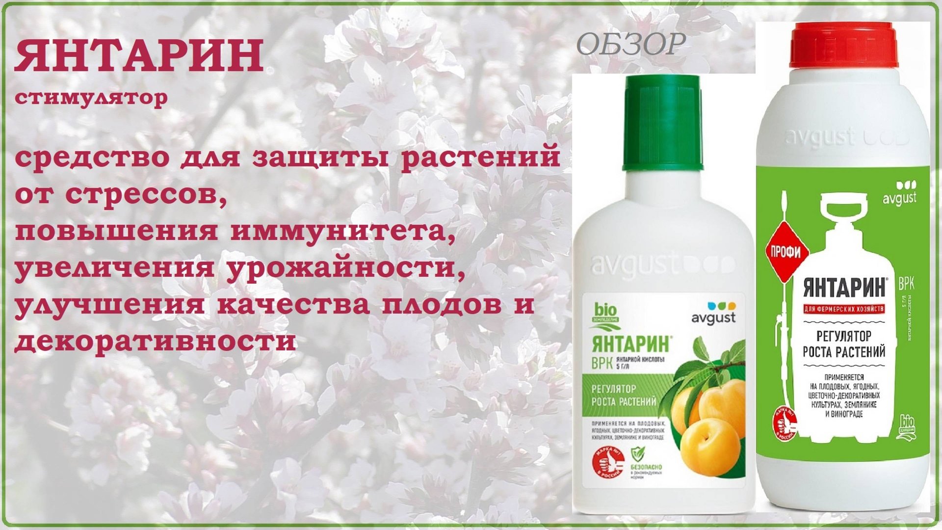 Янтарин - средство для защиты растений от стрессов, повышения их иммунитета и урожайности. Обзор