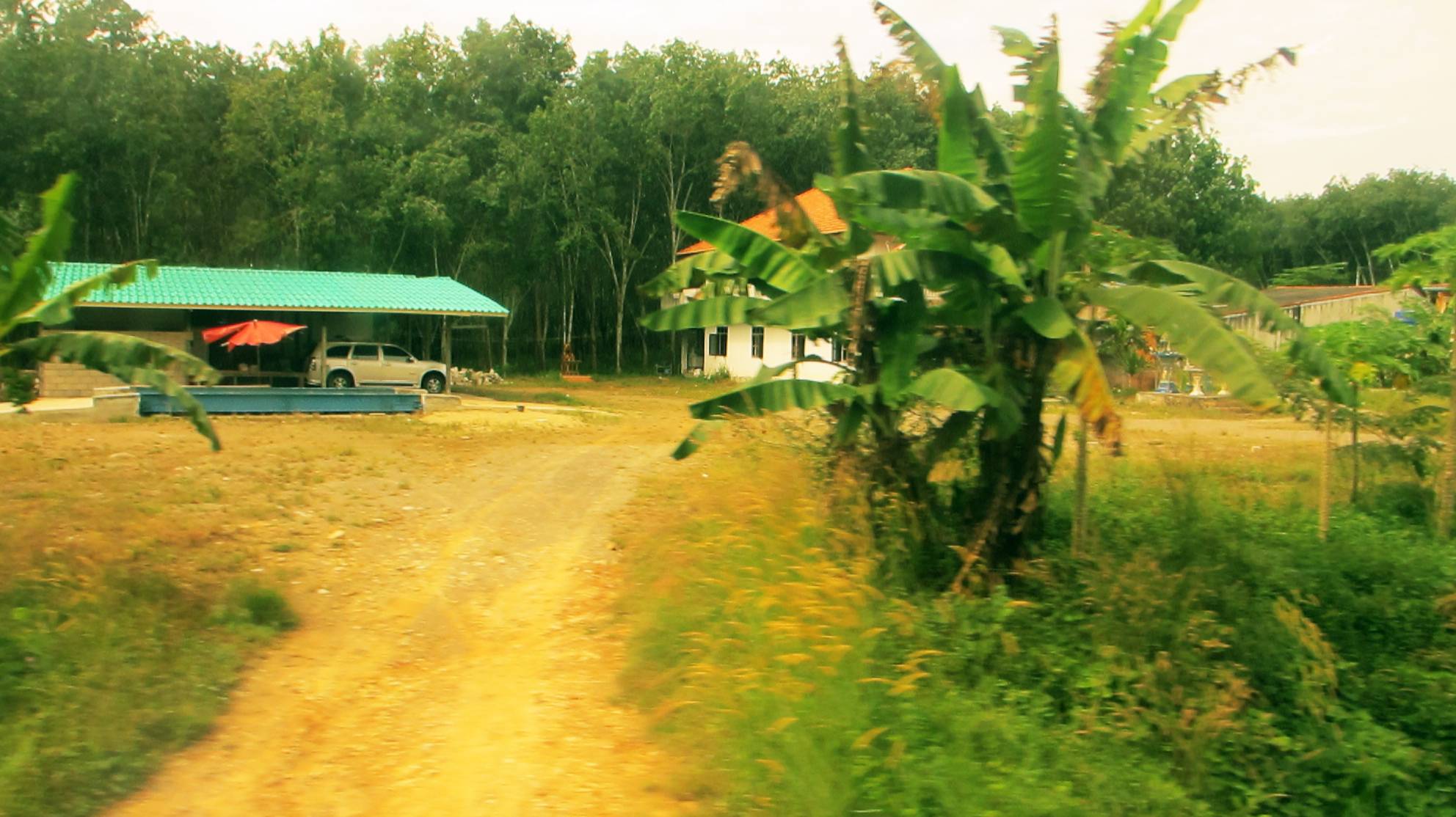 Тайланд из окна автобуса. Путешествие из Пхукета на Панган.