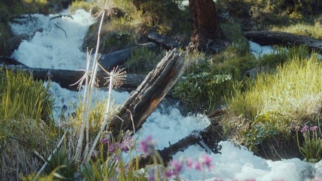 8968434-uhd_4096_2160_24fps