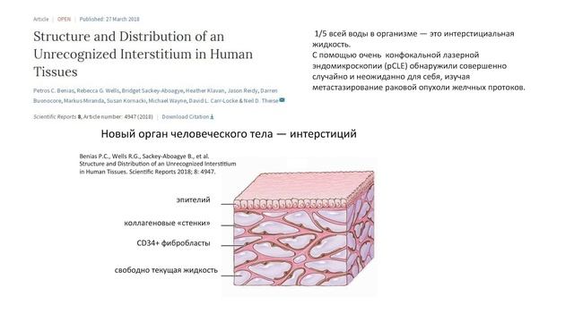Медики для немедиков: уколы красоты