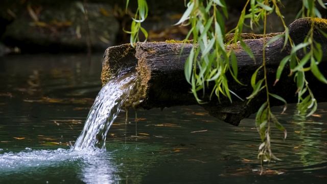 13039812-uhd_3840_2160_30fps