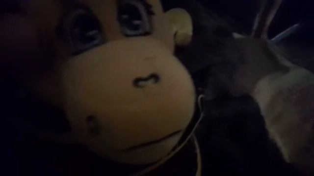 Игорь путешествие №7 отели