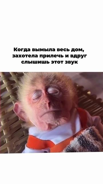 Жизненно 🤣