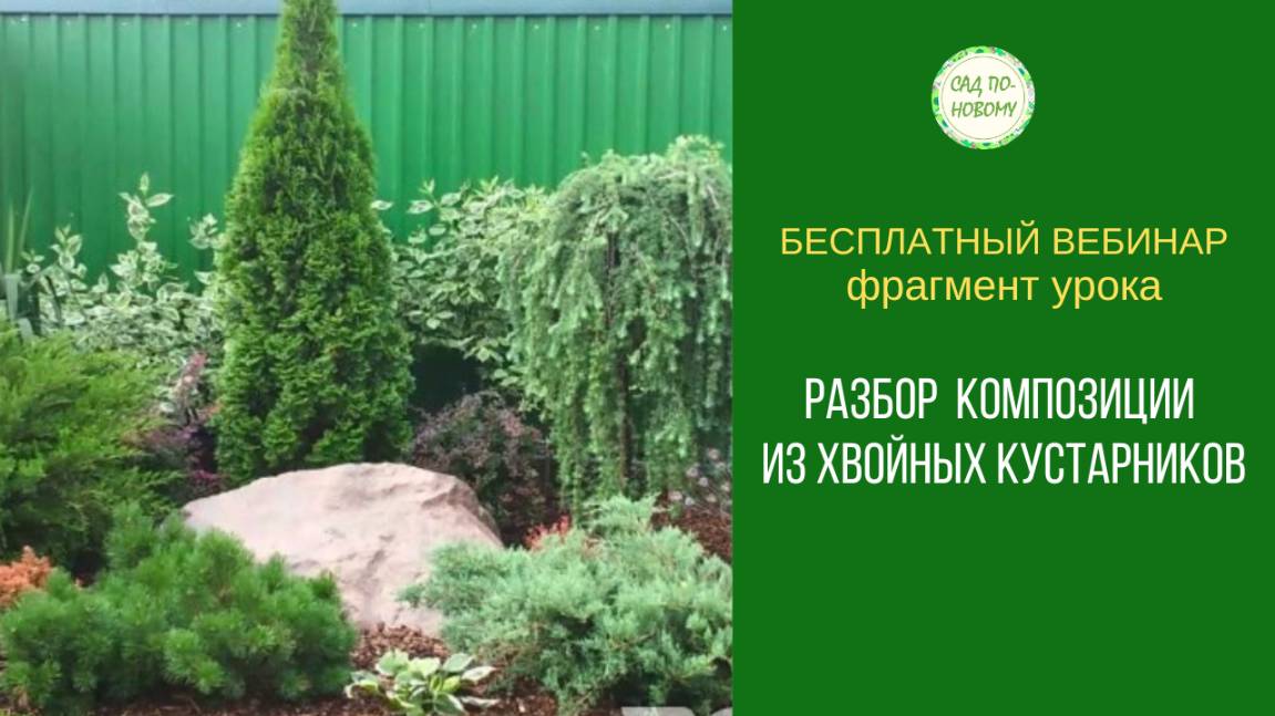 😍Видео-разбор живой композиции из кустарников.