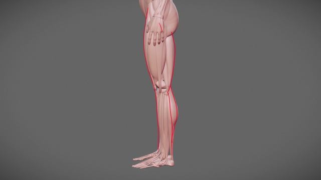 03_13_blocking_out_the_limbs