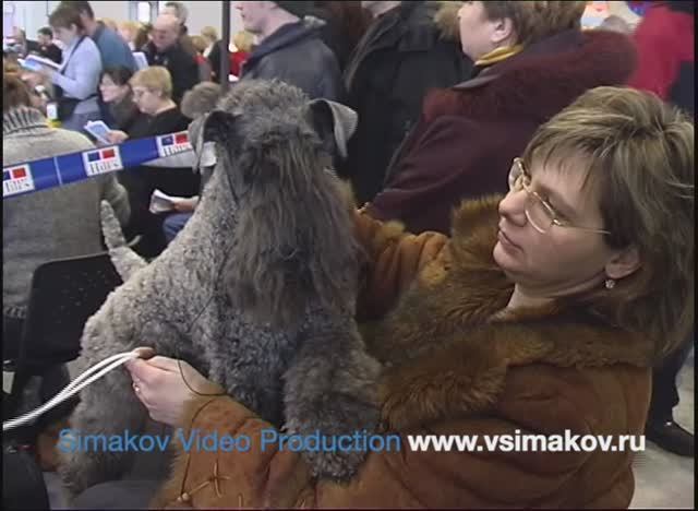 Международная выставка собак "Евразия" 2005 год