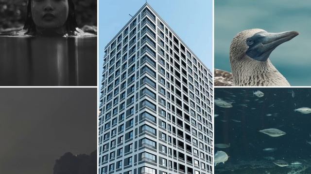 Он символ элегантности!