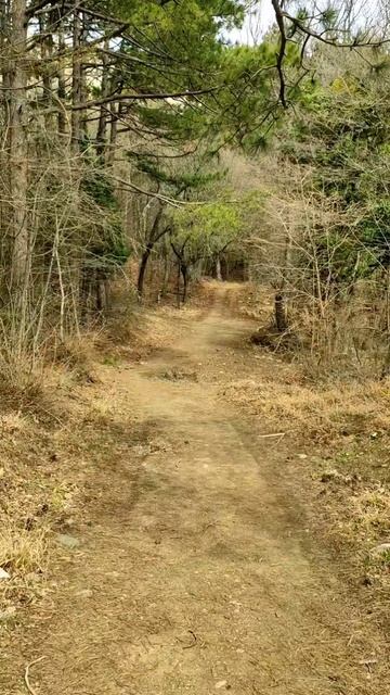 Заповедная тропа Биюк-Исар. Крым.