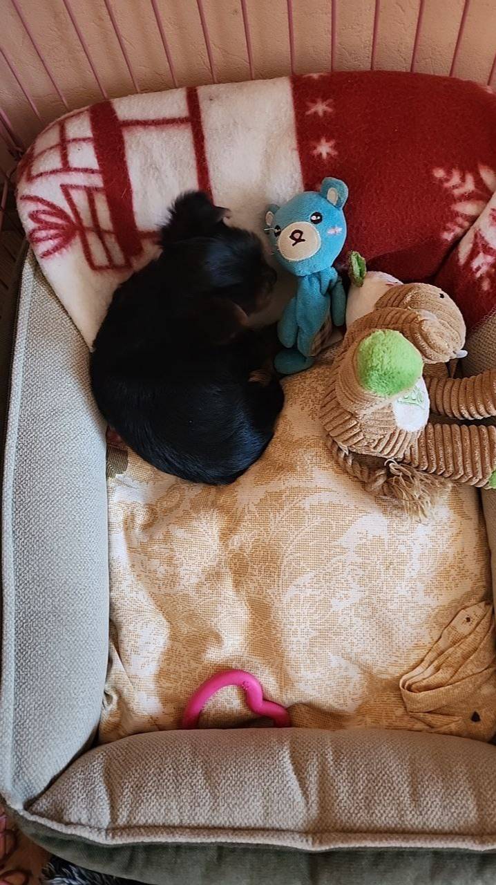 После завтрака - игра