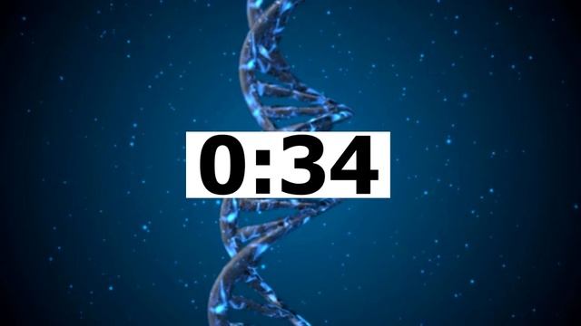 Artificial Intelligence (Светлана Рудкевич, тренажер ЕГЭ)