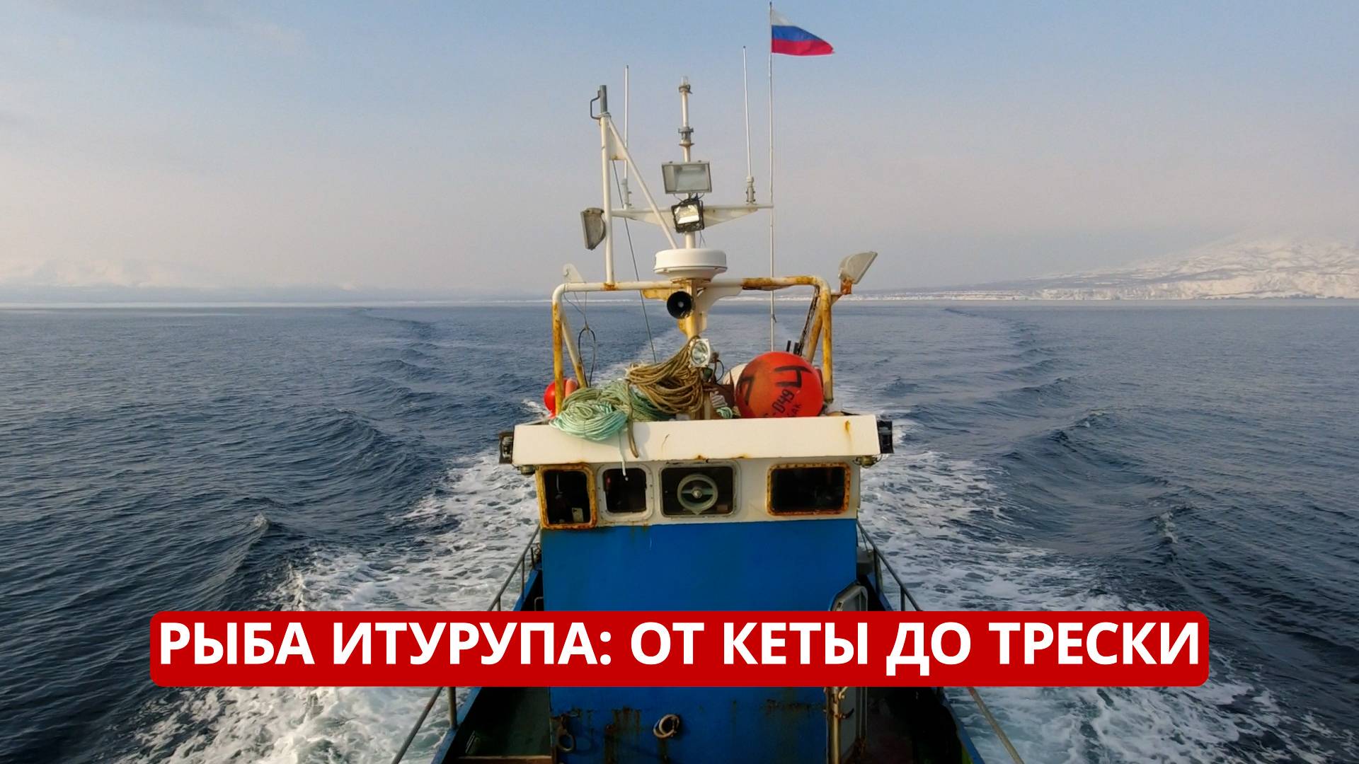 СПЕЦРЕП: Рыба Итурупа - от мальков кеты до лова трески