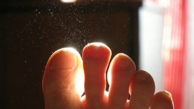 Откуда пыль в квартире