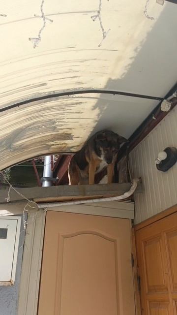 Ты что там делаешь? 🤣