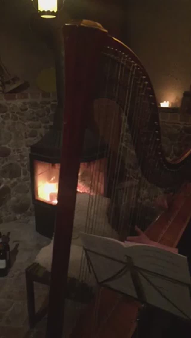 Музыкальный вечер в аутентичном ресторане "Landhof Arche" Hohenselchow, Groß-Pinnow, Германия.