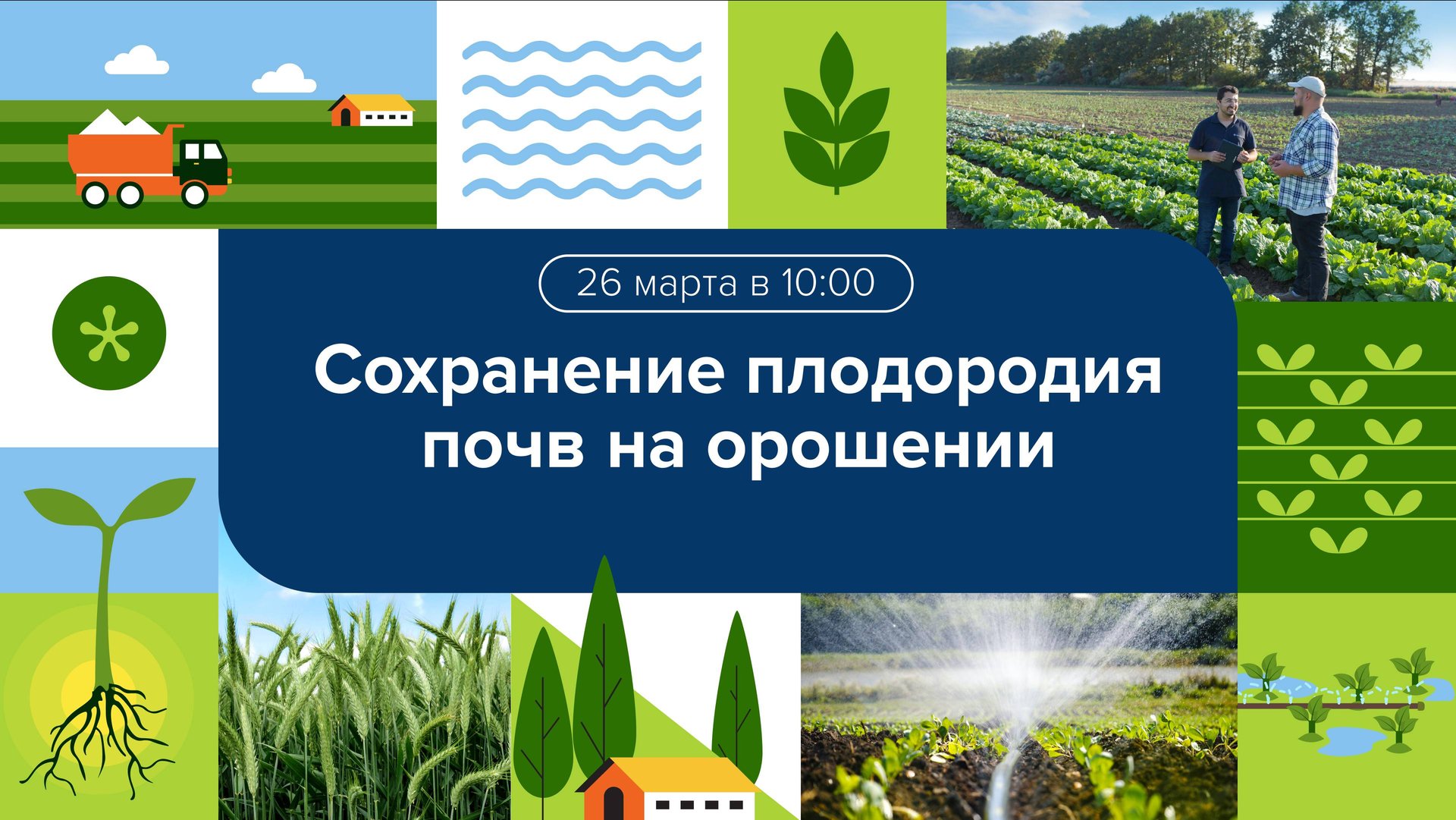 Вебинар "Сохранение плодородия почв на орошении. Почему орошение без гипсования - деньги на ветер?"