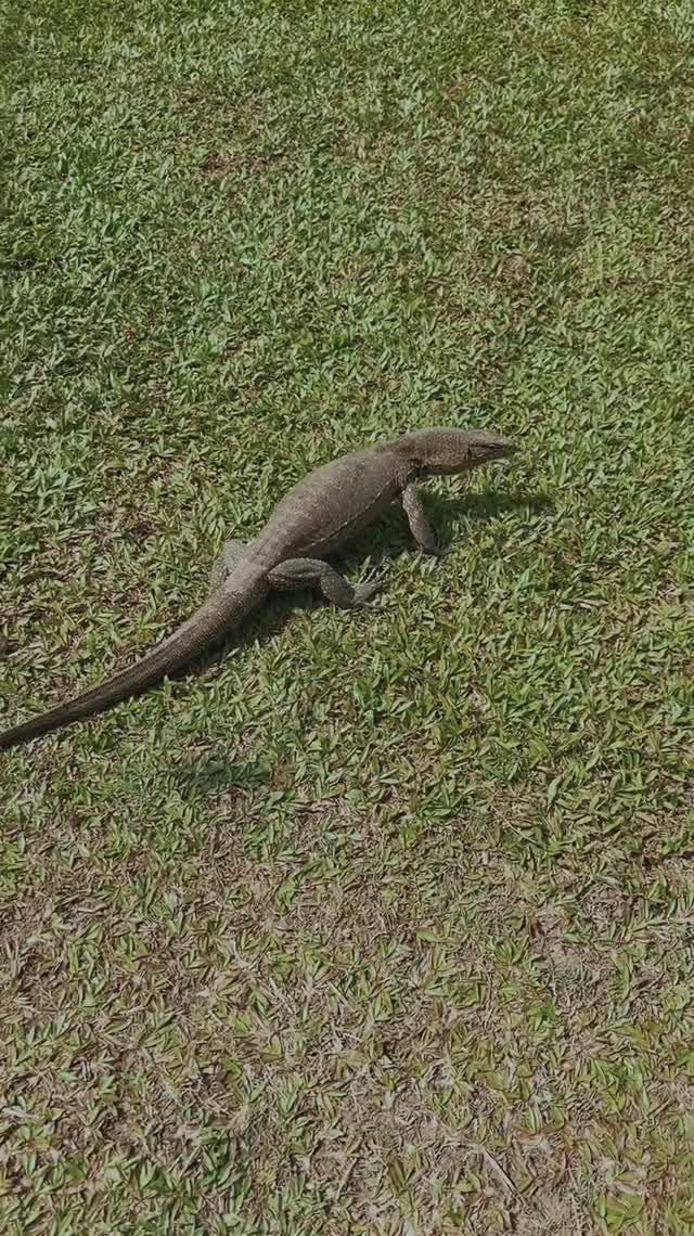 ШАГ 16 - избавься от недоверия. Методы терапии в описании и закрепе