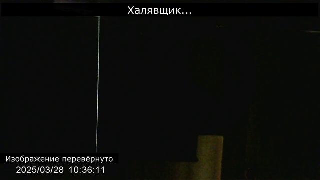 Баба Маша (Халявщики опять не выпускают из комнаты)