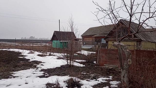 Купила дом в деревне. Первая поездка