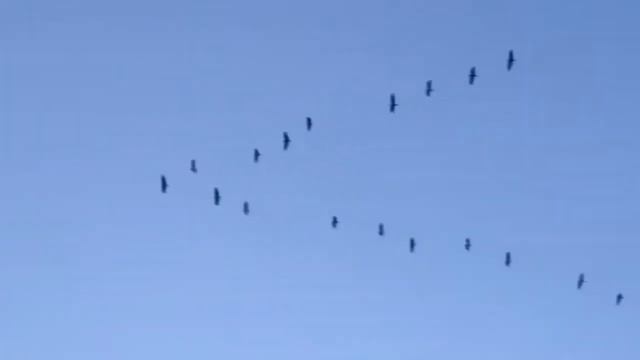 Осень... Музыка и исп. Макс Максимов, Стихи и монтаж видео Виктор Поживин