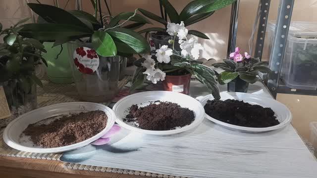 Готовим грунт для пересадки Фиалок! Как обеззаразить?