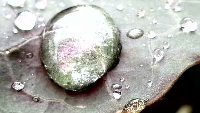 Капли дождя