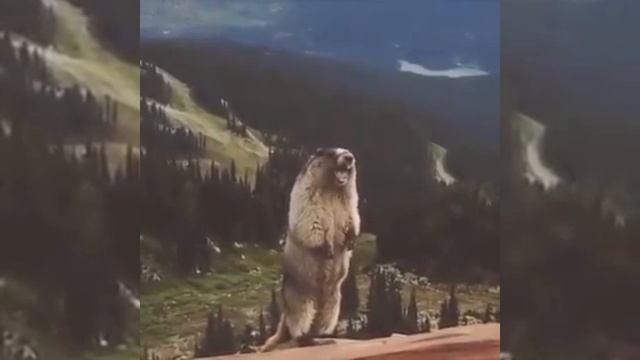 Не вошедшее в ролик 😂😂😂🤪🤘🤘🤘