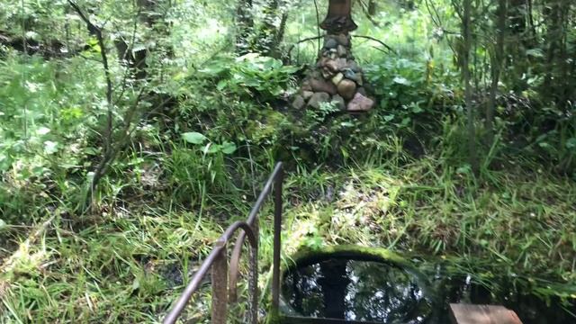 Родник в Подмосковье.