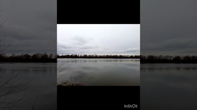 28-03-2025 утренняя прогулка под дождем