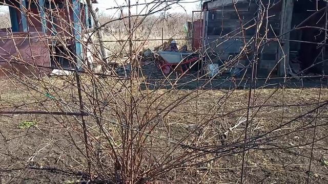 Купила дом в деревне. Убираемся в саду