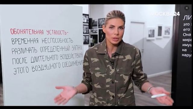 Телеканал Москва 24. Собаки