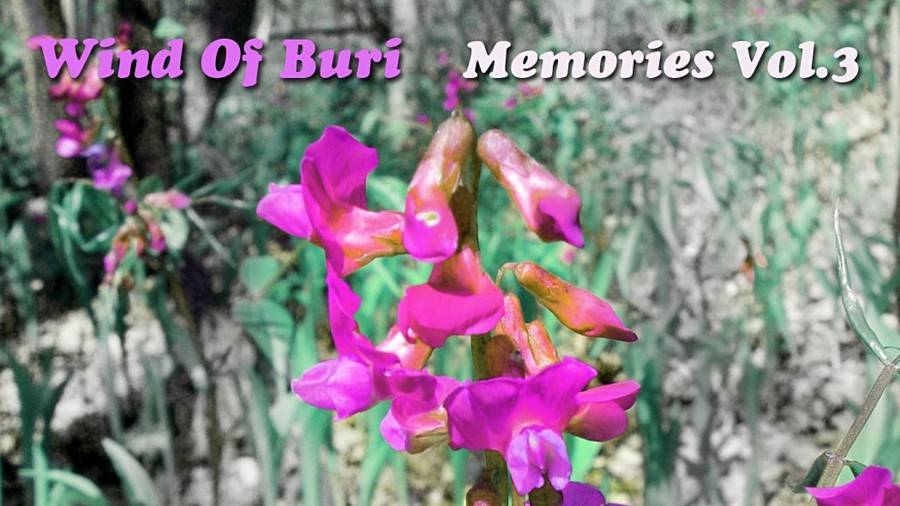 Memories (A Tribute To Dream Dance)  3