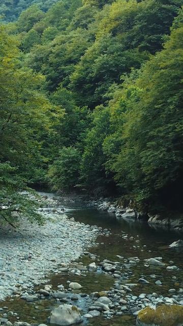 Рыболовное путешествие в Грузию. Кто хочет с нами?