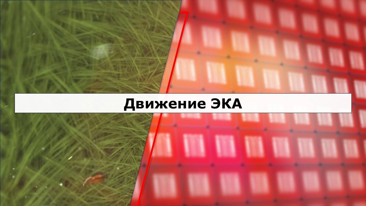 Движение ЭКА (проекты для библиотек и не только)