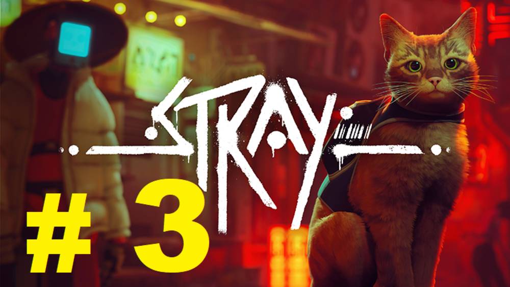 STRAY #3